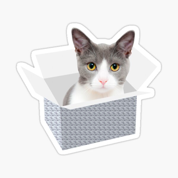 "Cat in a Box" Sticker for Sale by davidbowser | Redbubble