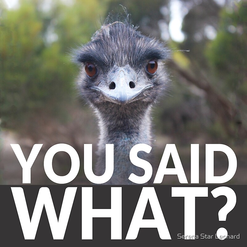 ""You Said What?" Funny Animal Quotes - Emu" by Serena Star Leonard ...