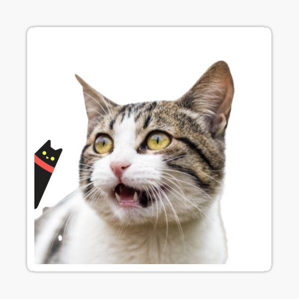 "Scared cat" Sticker by prstrnn | Redbubble