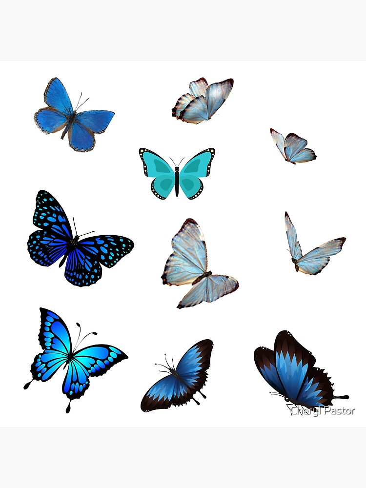 Póster «Pegatinas de mariposas azules Paquete de pegatinas de mariposas ...