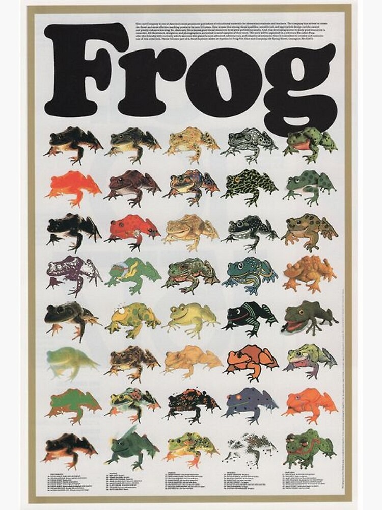 "frog chart" Poster by avaarts | Redbubble