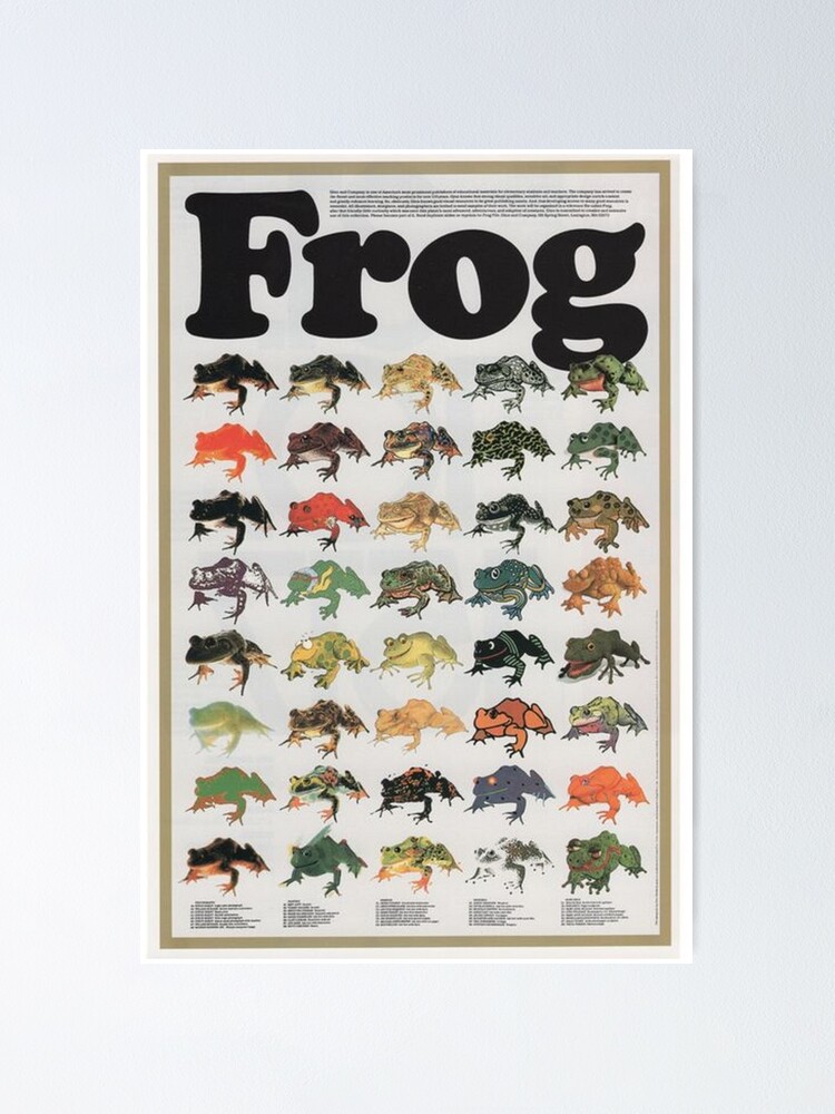 "frog chart" Poster by avaarts | Redbubble