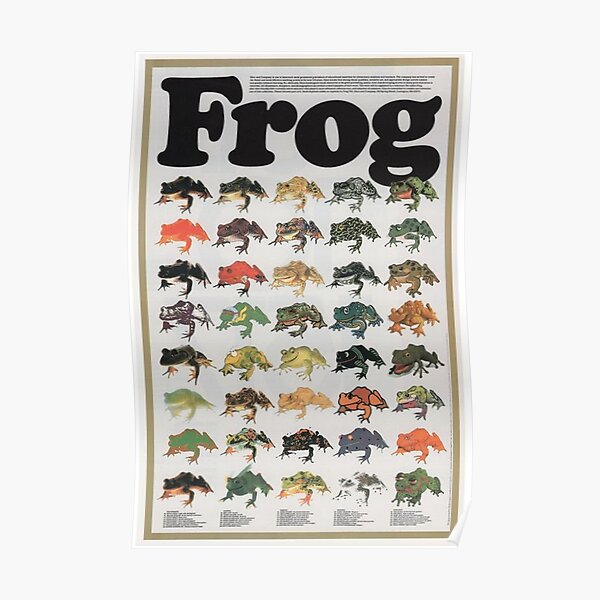 "frog chart" Poster by avaarts | Redbubble
