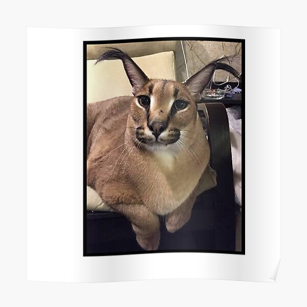 "Big Floppa" Poster by ouyoussfyassine | Redbubble