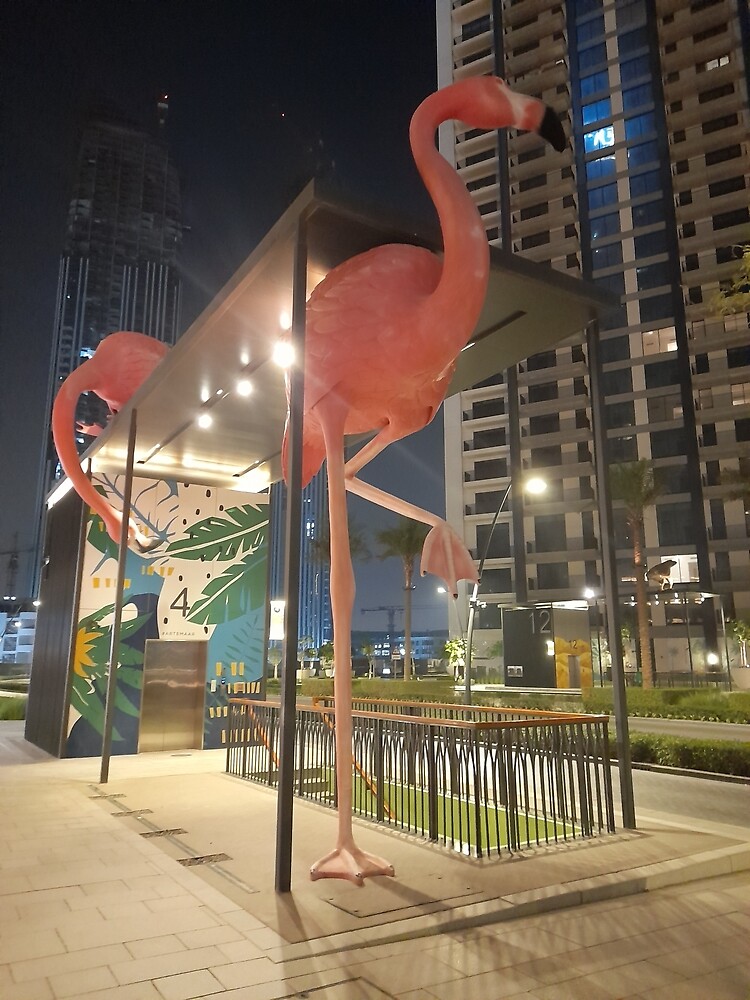 "Creek dubai flamingo art" Poster by SaharaArt | Redbubble