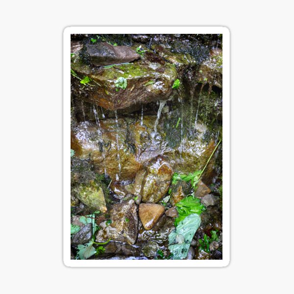 "water source" Sticker by Claraveritas | Redbubble