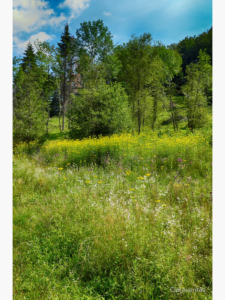 "water source" Sticker for Sale by Claraveritas | Redbubble