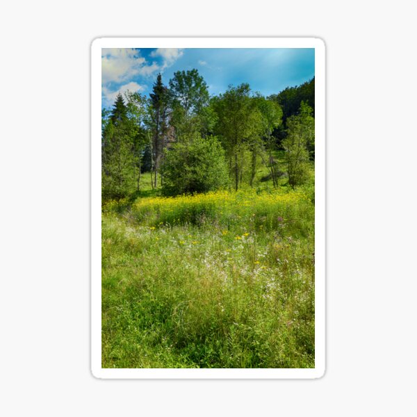 "water source" Sticker for Sale by Claraveritas | Redbubble