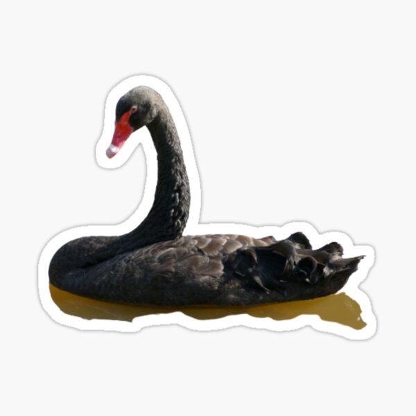 "Swan" Sticker for Sale by EFF-EasyFunFast | Redbubble