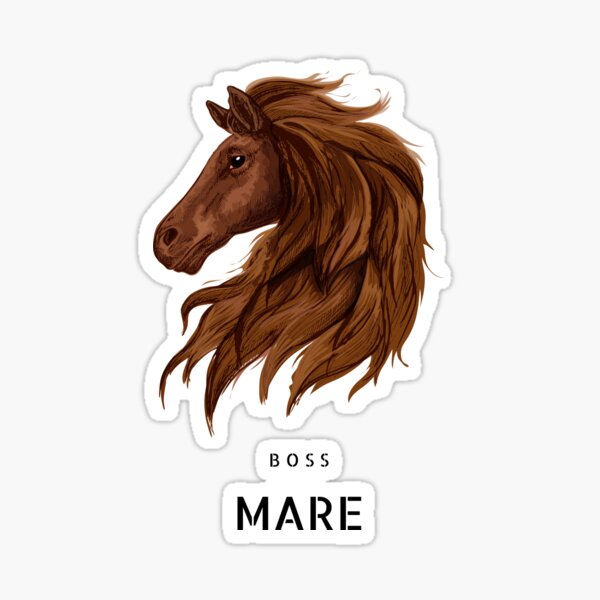 "Boss Mare" Sticker for Sale by CornishPixiPony | Redbubble