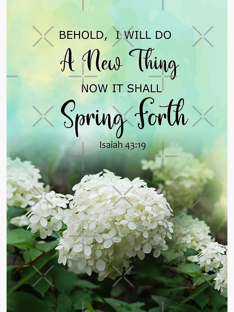 "Isaiah 43:19 Behold I Do A New Thing - Bible Verse Scripture White ...