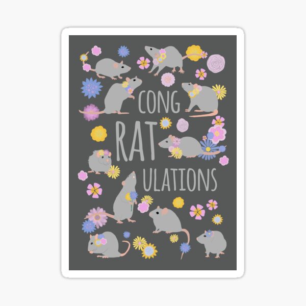 "Rats and flowers Congratulations Card" Sticker by amymh | Redbubble
