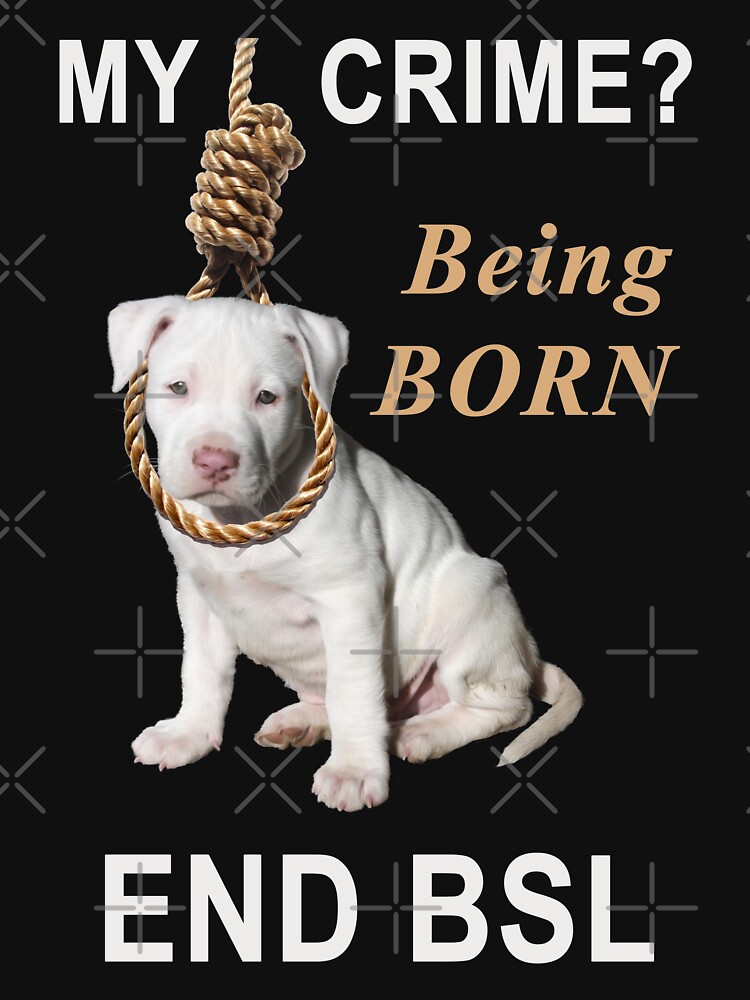 "End BSL" T-shirt for Sale by Beverlytazangel | Redbubble | endbsl t ...