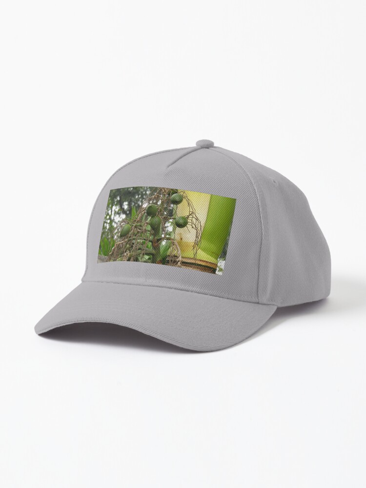 bamboo baseball cap