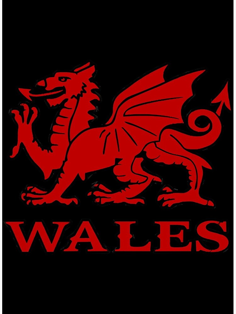 "welsh dragon " Poster for Sale by YeisyAn199 | Redbubble