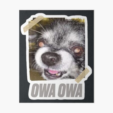 "pudgywoke owa owa" Art Board Print by MalcotThomson | Redbubble