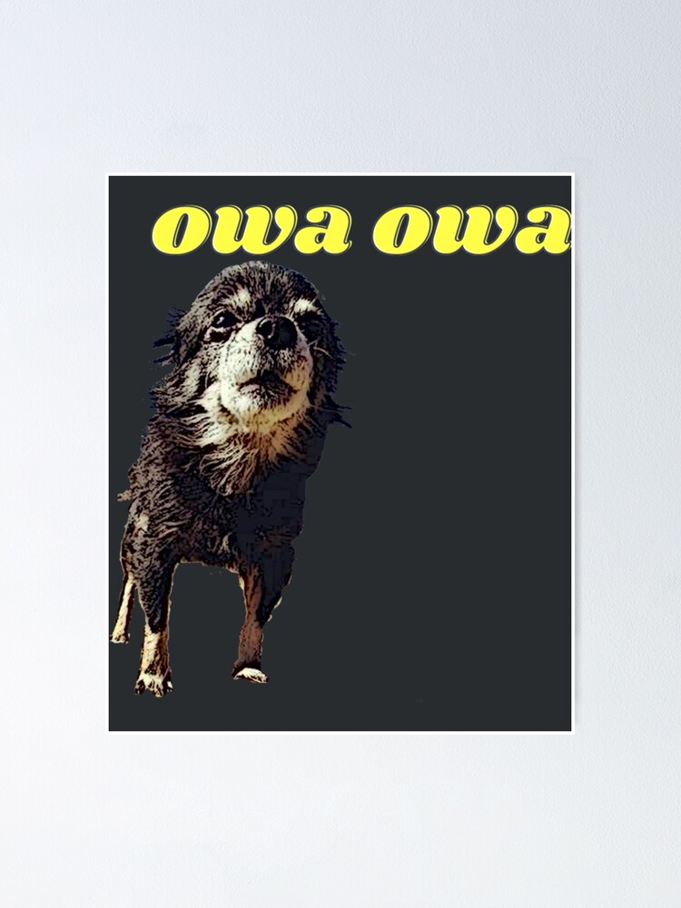 "pudgywoke owa owa Essential" Poster by MalcotThomson | Redbubble