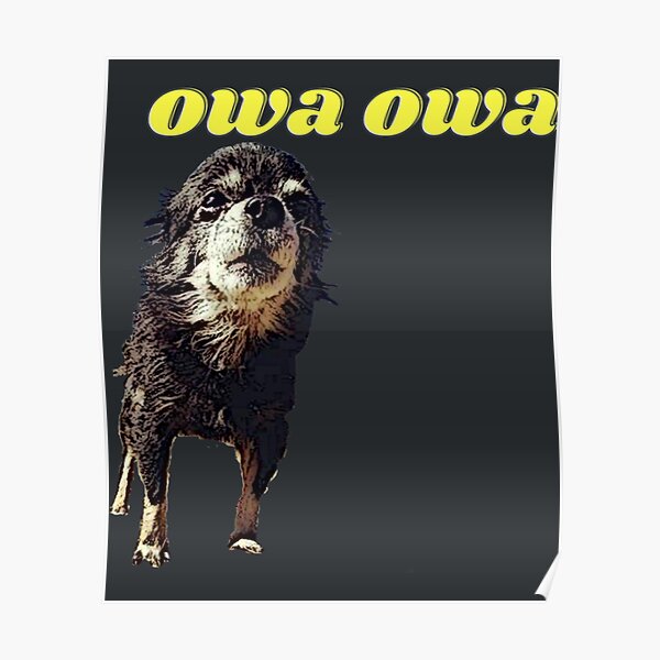 "pudgywoke owa owa Essential" Poster by MalcotThomson | Redbubble