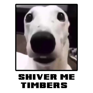 Shivers Memes