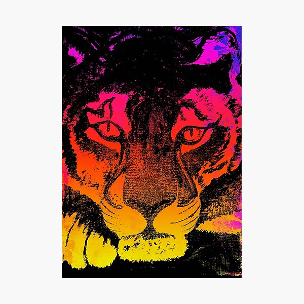 "Tiger with gradient colour" Photographic Print for Sale by DSR-Arts ...
