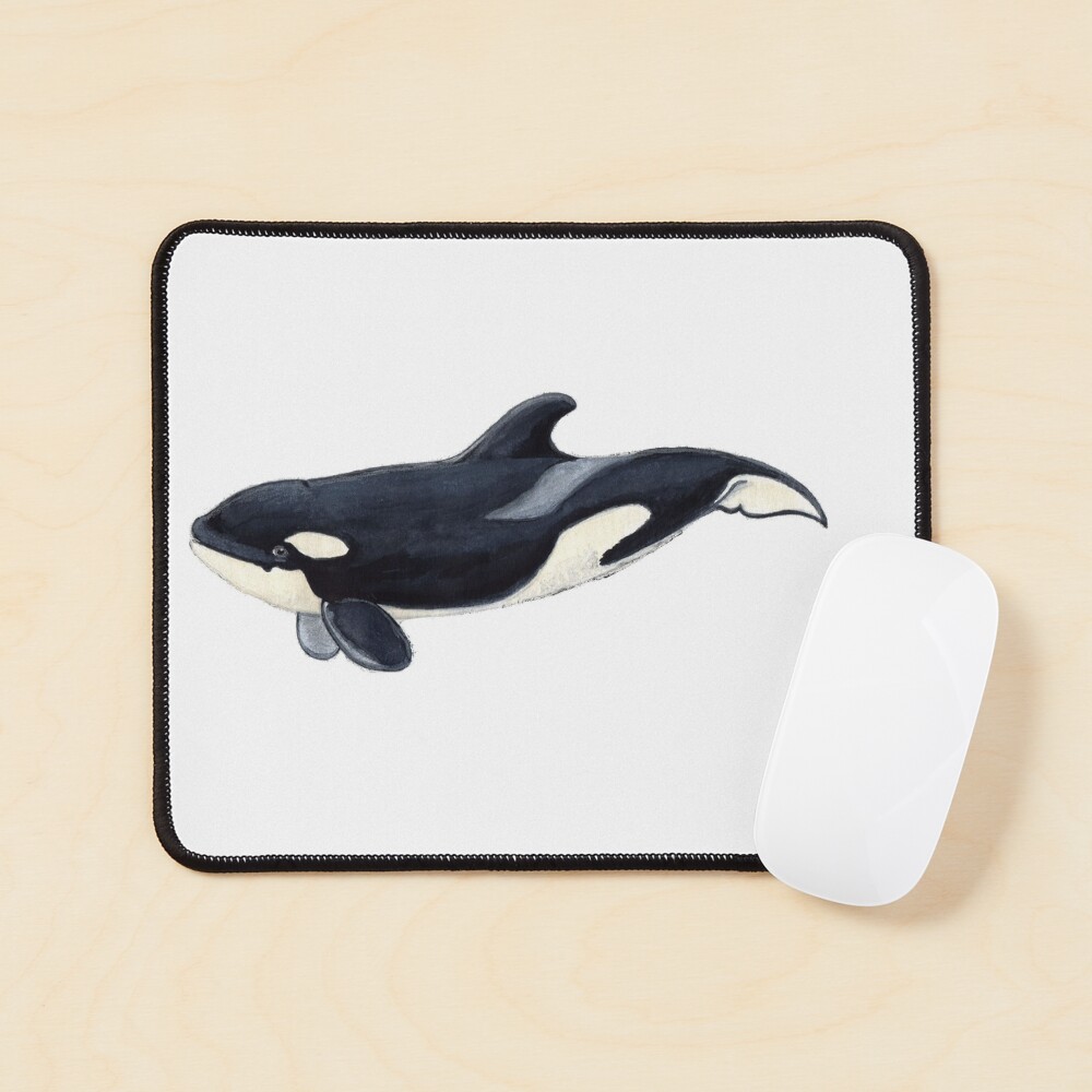 "Baby orca " Sticker for Sale by Chloe Rosa Ghislaine Yzoard | Redbubble