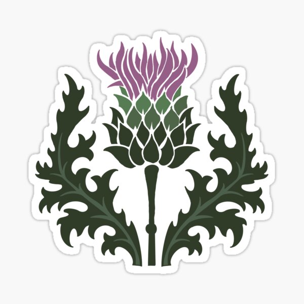 "Scottish Thistle" Sticker for Sale by RobbDianite | Redbubble
