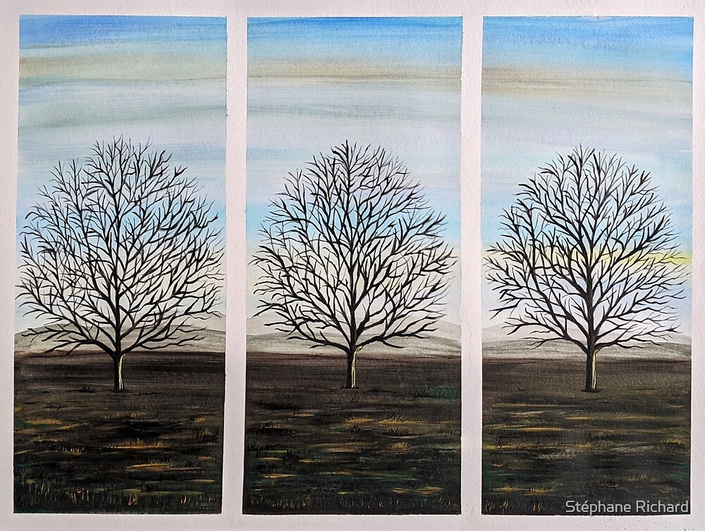 "Tree Triptych" by Stéphane Richard | Redbubble