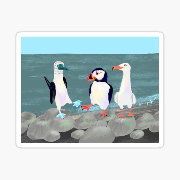 "Seagull, puffin and Blue footed booby" Sticker for Sale by orangerinka ...