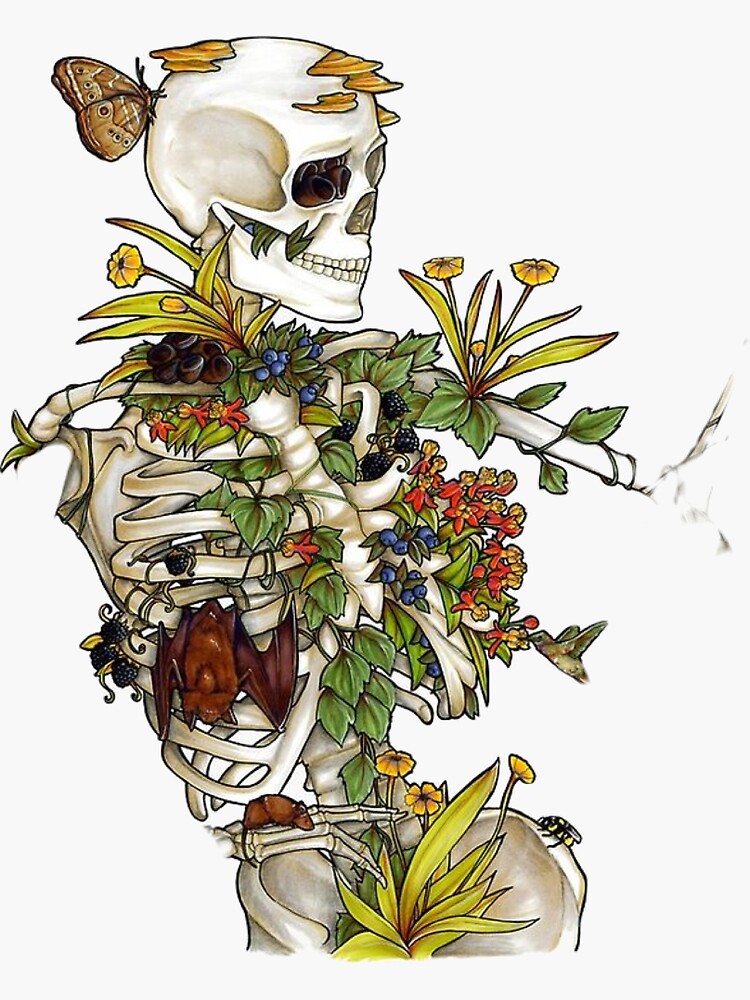 "Skull skeleton " Sticker for Sale by Wasi007 | Redbubble
