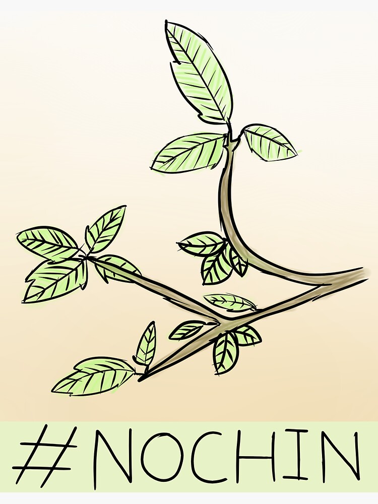 "#NOCHIN LeafyIsHere" Sticker by spinosaurus46 | Redbubble