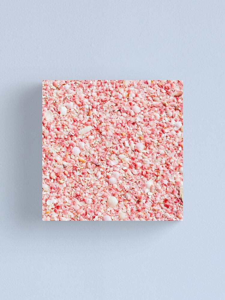 "Tiny Pink Shell Sand Beach Caribbean Island" Canvas Print for Sale by ...
