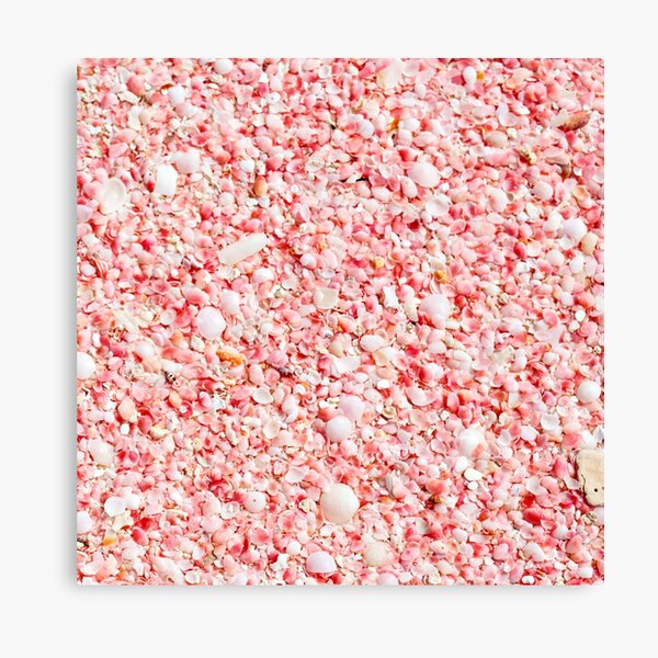"Tiny Pink Shell Sand Beach Caribbean Island" Canvas Print for Sale by ...
