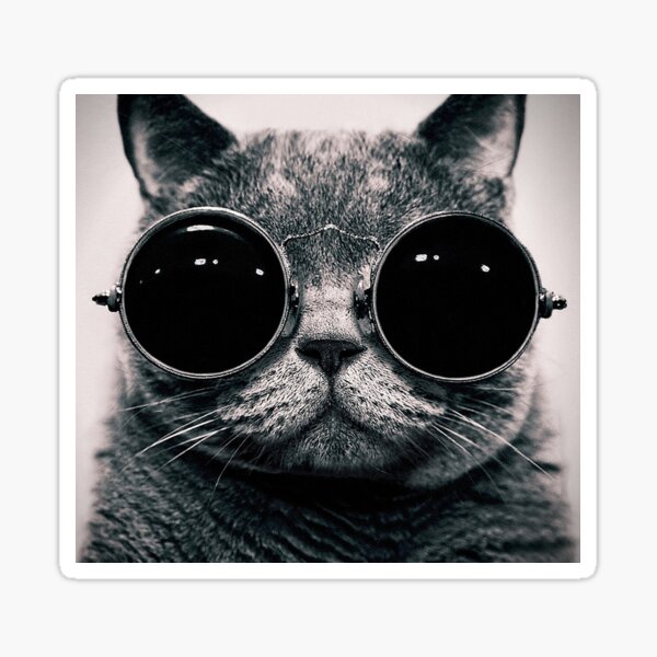 "Cat with glasses" Sticker for Sale by Carlos30jk | Redbubble