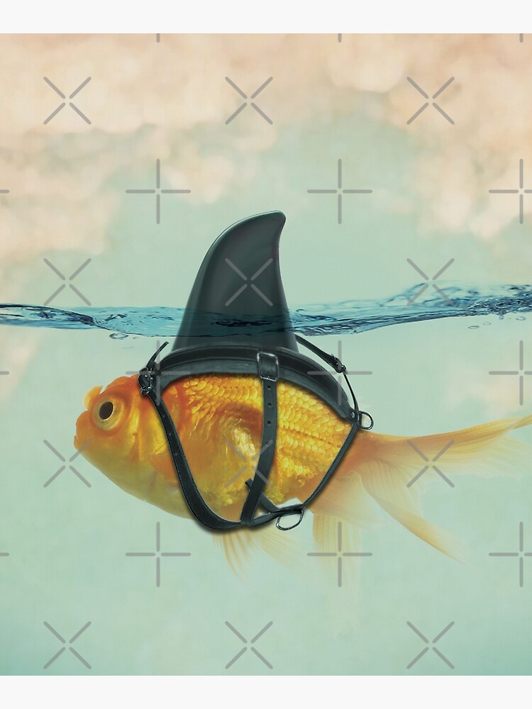 Impression montée « Déguisement brillant, poisson rouge avec un aileron ...