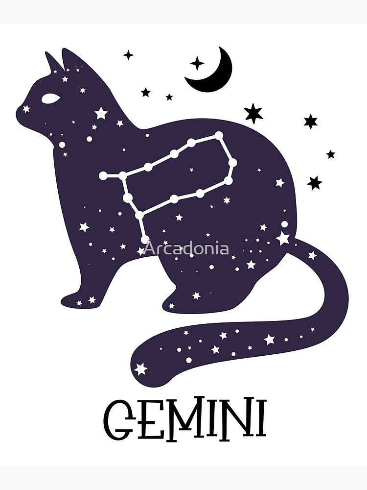 "Gemini Cat Zodiac Sign Constellation Astrology" Art Print for Sale by ...