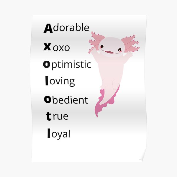 "Axolotl " Poster by Bunnos | Redbubble