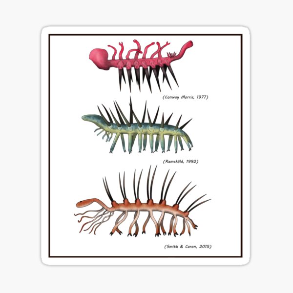 Pegatina «Hallucigenia sparsa y sus muchas transformaciones» de ...