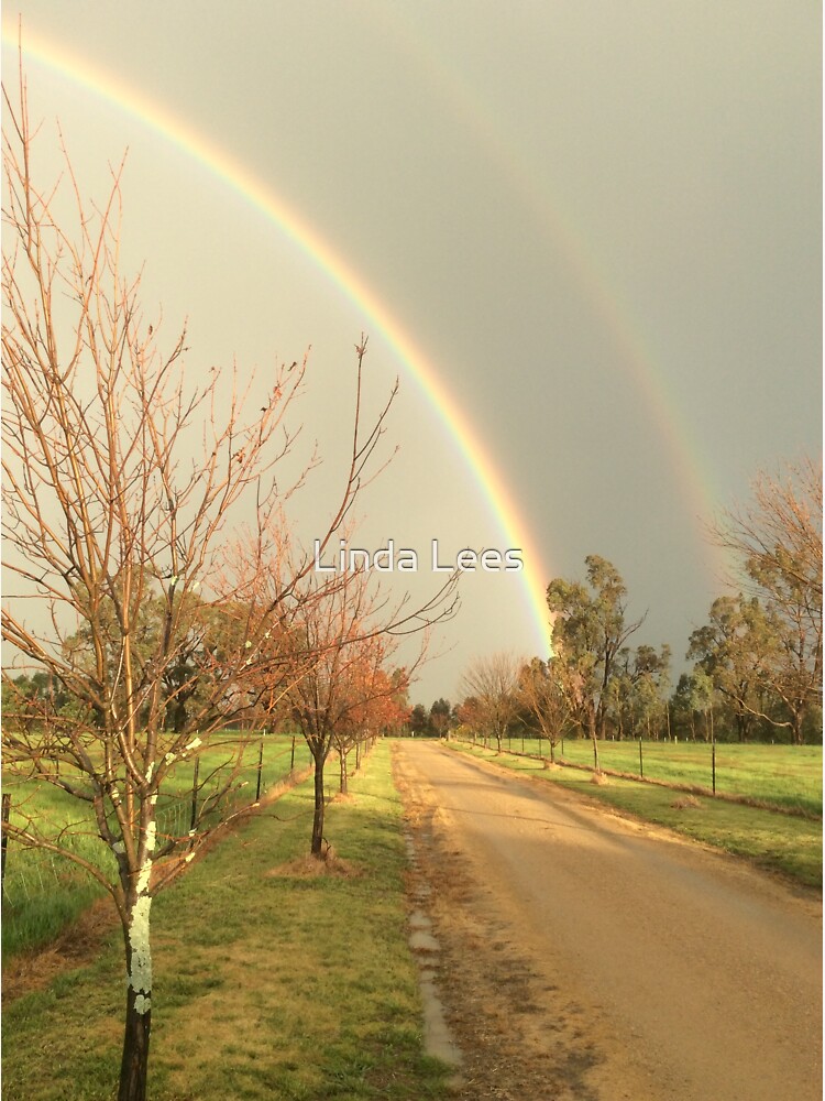 "A Rainbow for Kay" Sticker for Sale by LindaLees | Redbubble