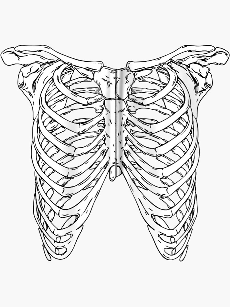 "Rib Cage Skeleton Cool Halloween " Sticker for Sale by UniqueElsewhere ...
