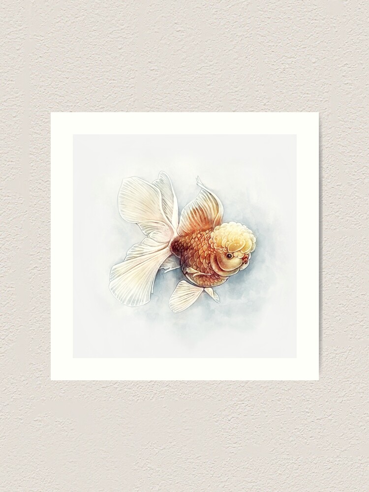 "Oranda Goldfish" Art Print for Sale by strijkdesign | Redbubble