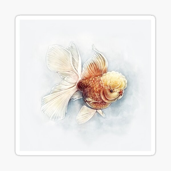 "Oranda Goldfish" Sticker by strijkdesign | Redbubble