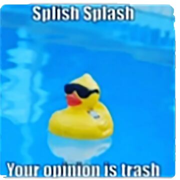 Enten Memes Ente Gelände: "#meme #memes A Otter Describe…"