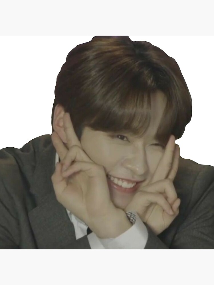 "Stray Kids Lee Know Cute Peace Sign Sticker" Art Print for Sale by ...