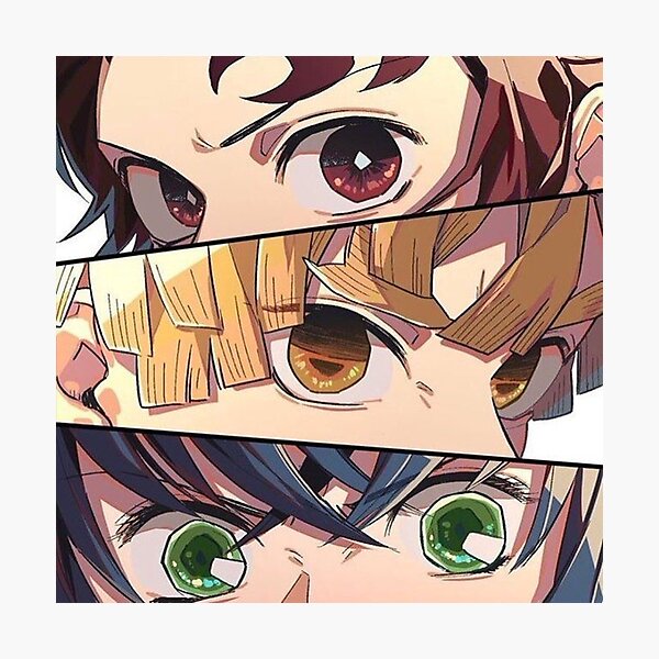 "Zenitsu,Tanjiro,Inosuke" Photographic Print by cherrysarts | Redbubble