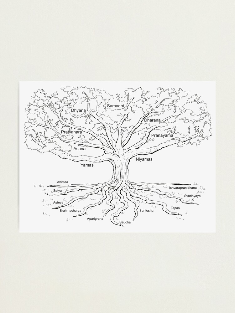 "8-limbed Tree of Yoga by Justin Lorenzen" Photographic Print by ...