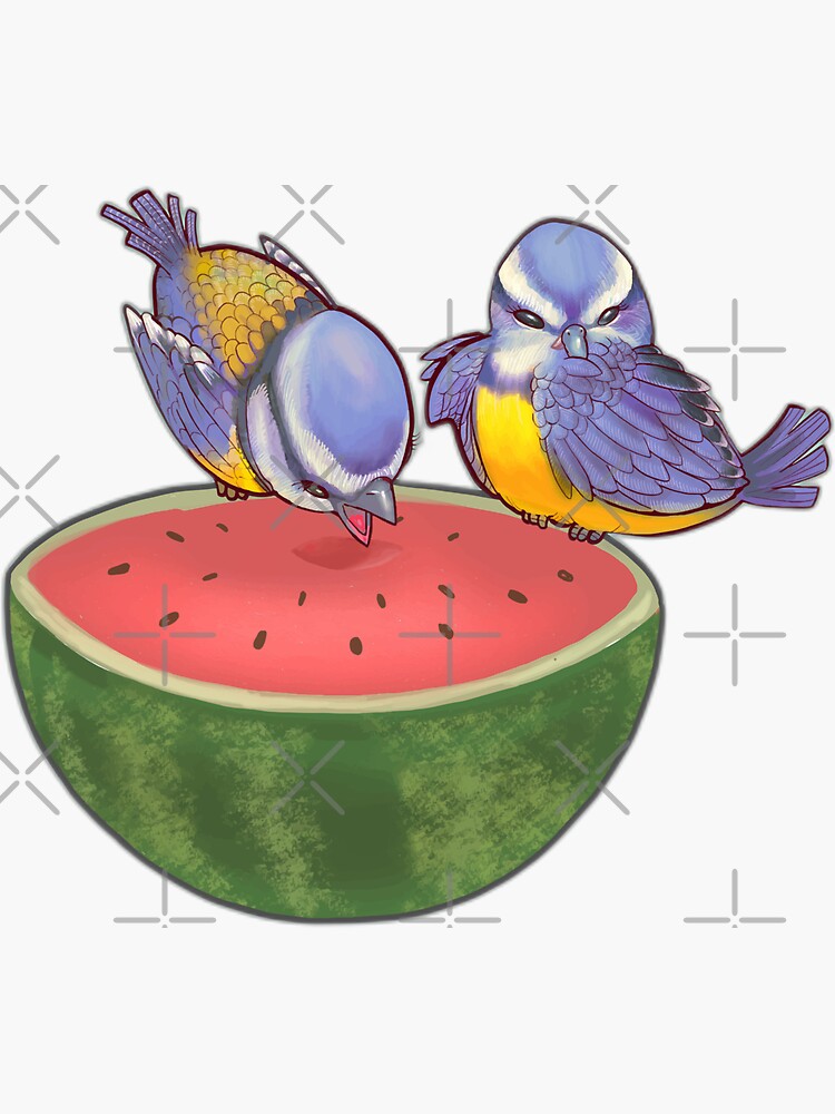 "bird eating watermelon" Sticker for Sale by cpilustra7- | Redbubble
