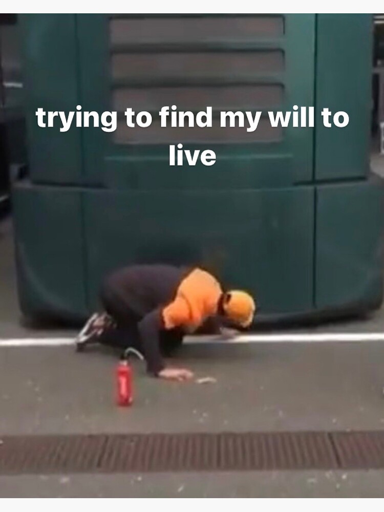 "Daniel Ricciardo Formula One Reaction Meme" Sticker for Sale by ...