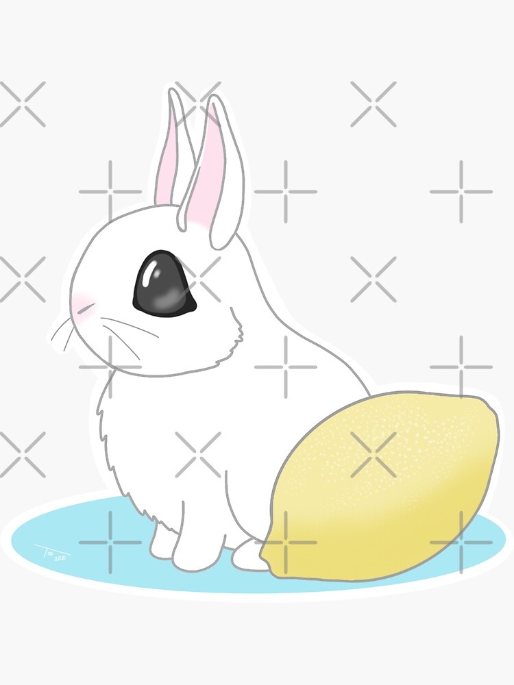 "Zesty Dwarf Hot Tot Rabbit" Sticker for Sale by BeeAndClover | Redbubble