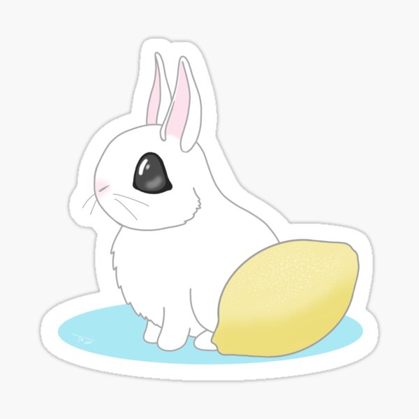 "Zesty Dwarf Hot Tot Rabbit" Sticker for Sale by BeeAndClover | Redbubble