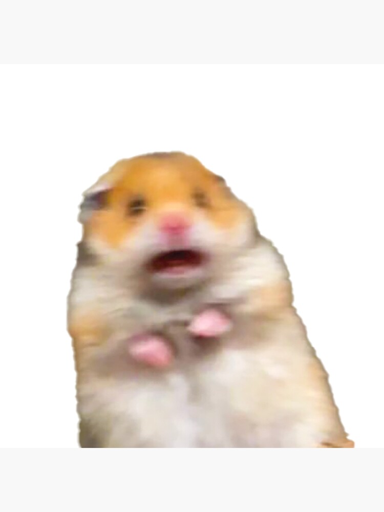 "Scared hamster meme" Poster for Sale by HelpMePayRent | Redbubble